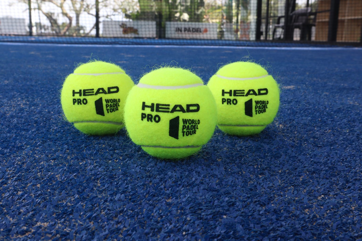 Reglas para jugar pádel - In Padel Medellín